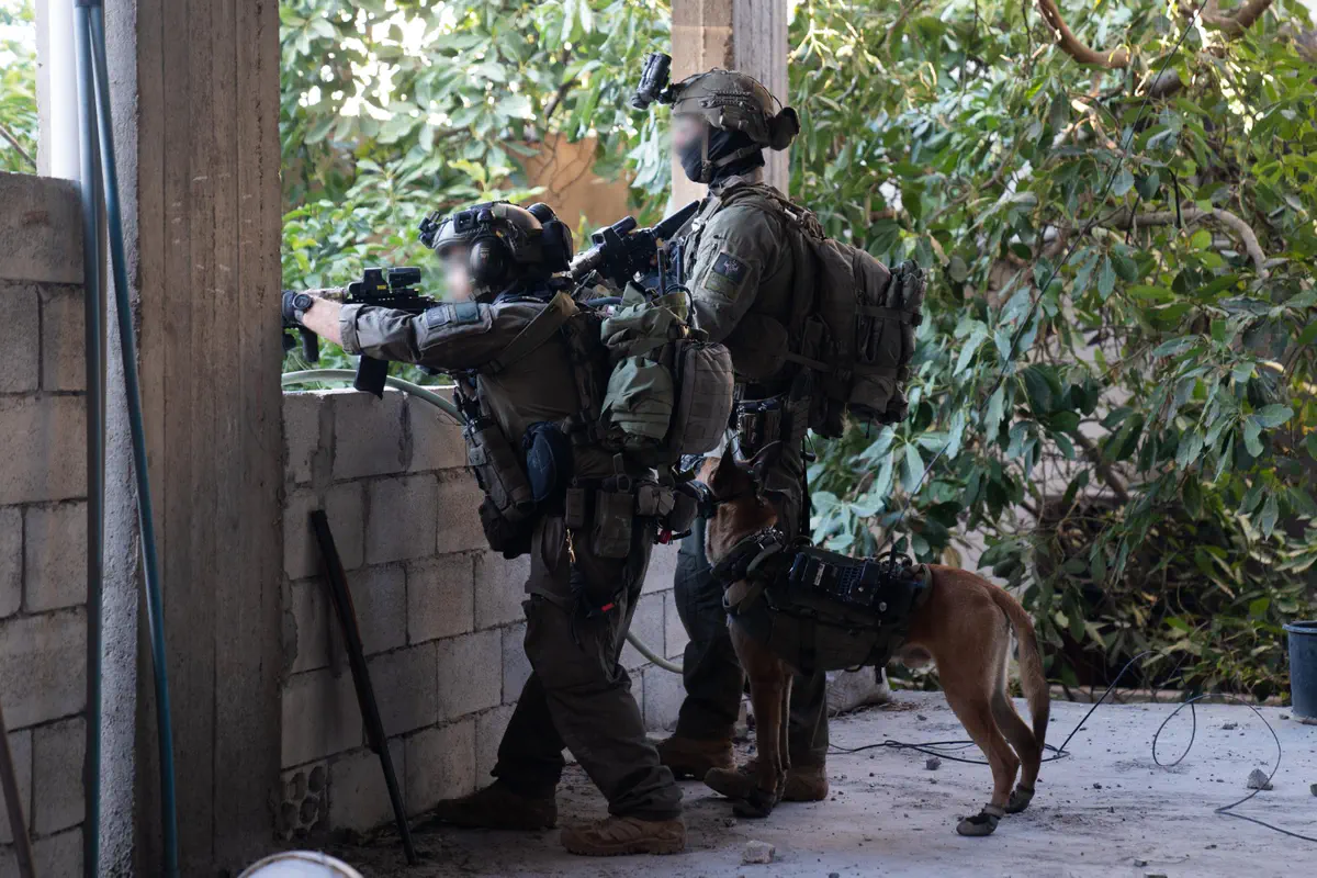 credit: דובר צה"ל