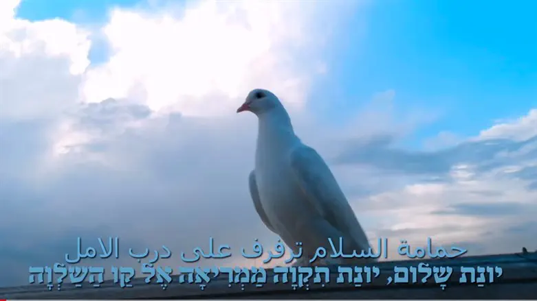 Which offering is the most beloved to Hashem? | Israel National News