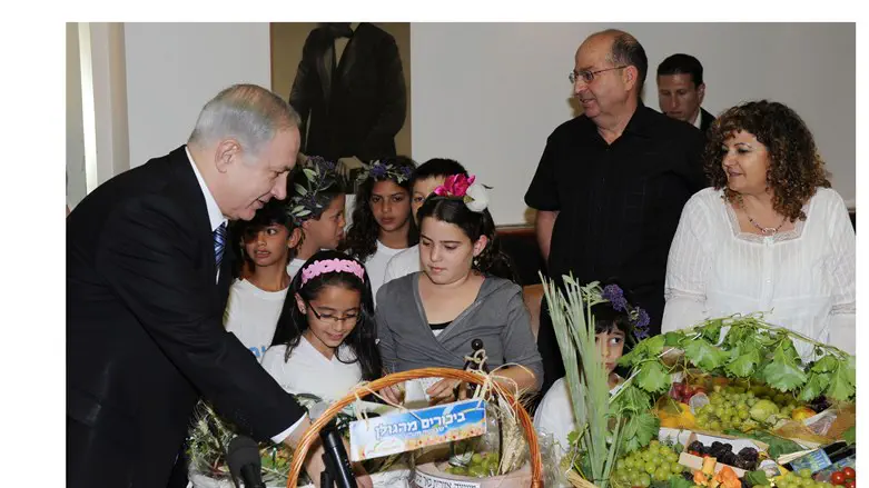 Bikurim-Rectification of the Sin of the Spies