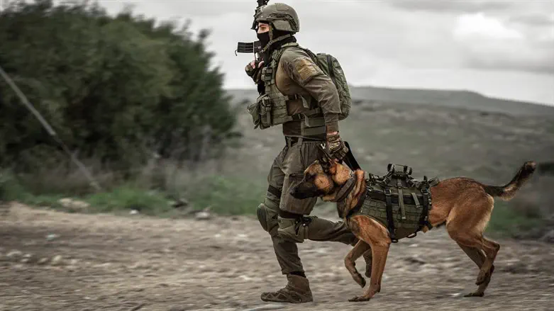 Report: IDF refused to supply canine, soldiers were killed as a result