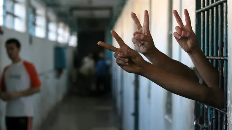 Report: Left-wing Israeli group provides legal aid to PA terrorists ...