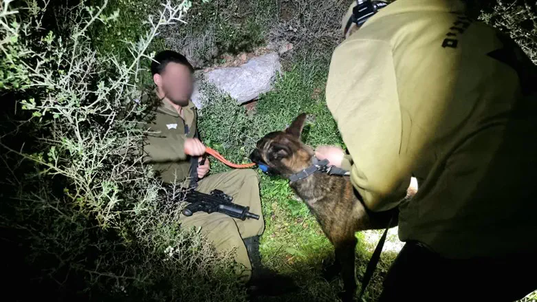 Israel Dog unit runs joint exercise with IDF officers' course | Israel ...