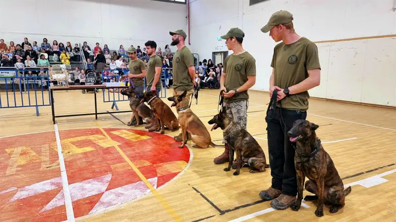 Israel Dog Unit brightens Passover for special needs children | Israel ...