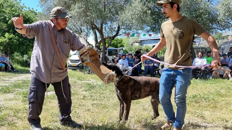 Israel Dog Unit's Independence Day exhibition | Israel National News