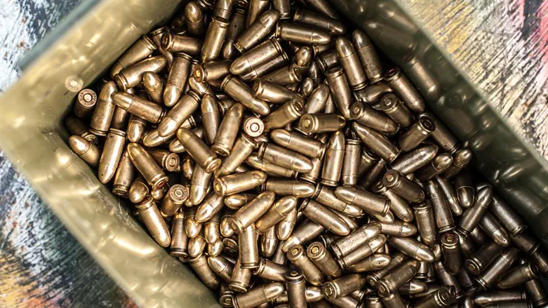 Bedouin who stole bullets from IDF base indicted | Israel National News