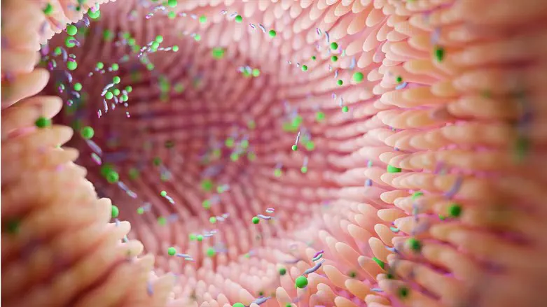 Collaborative study reveals promising insights into the gut-brain axis ...