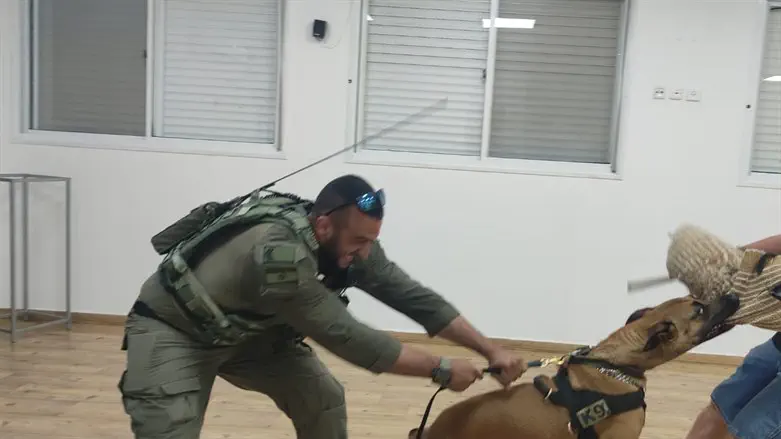 Israel Dog Unit helps Samaria fight terror | Israel National News