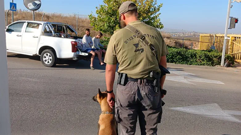 Israel Dog Unit aprehends illegal infiltrators in central Israel ...