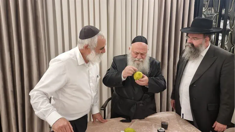 Housing Minister: 'We'll expand Kfar Chabad' | Israel National News