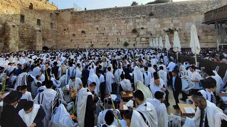 Live: Hoshana Rabba prayers at the Western Wall | Israel National News