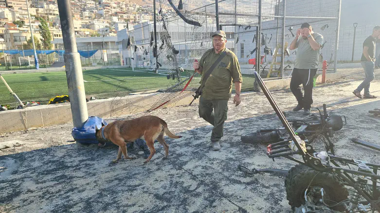 Israel Dog Unit works to locate Majdal Shams victims' remains | Israel ...