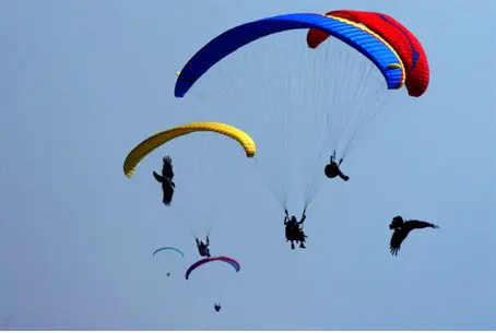 Report: Hamas Set to Conduct Paragliding Attacks | Israel National News