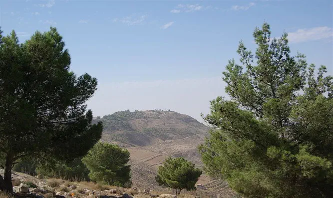 Moshe Rabbeinu - dead or alive | Israel National News