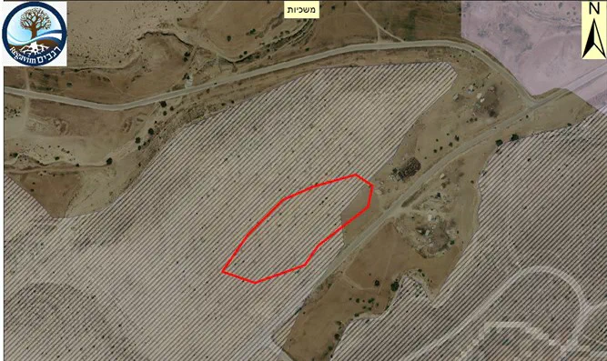 Bedouins seizing state land in Jordan Valley | Israel National News