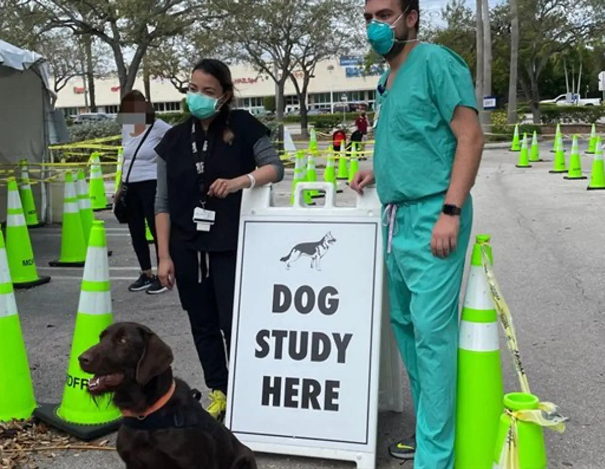 Sniffer dogs to identify COVID patients entering Israel? | Israel ...