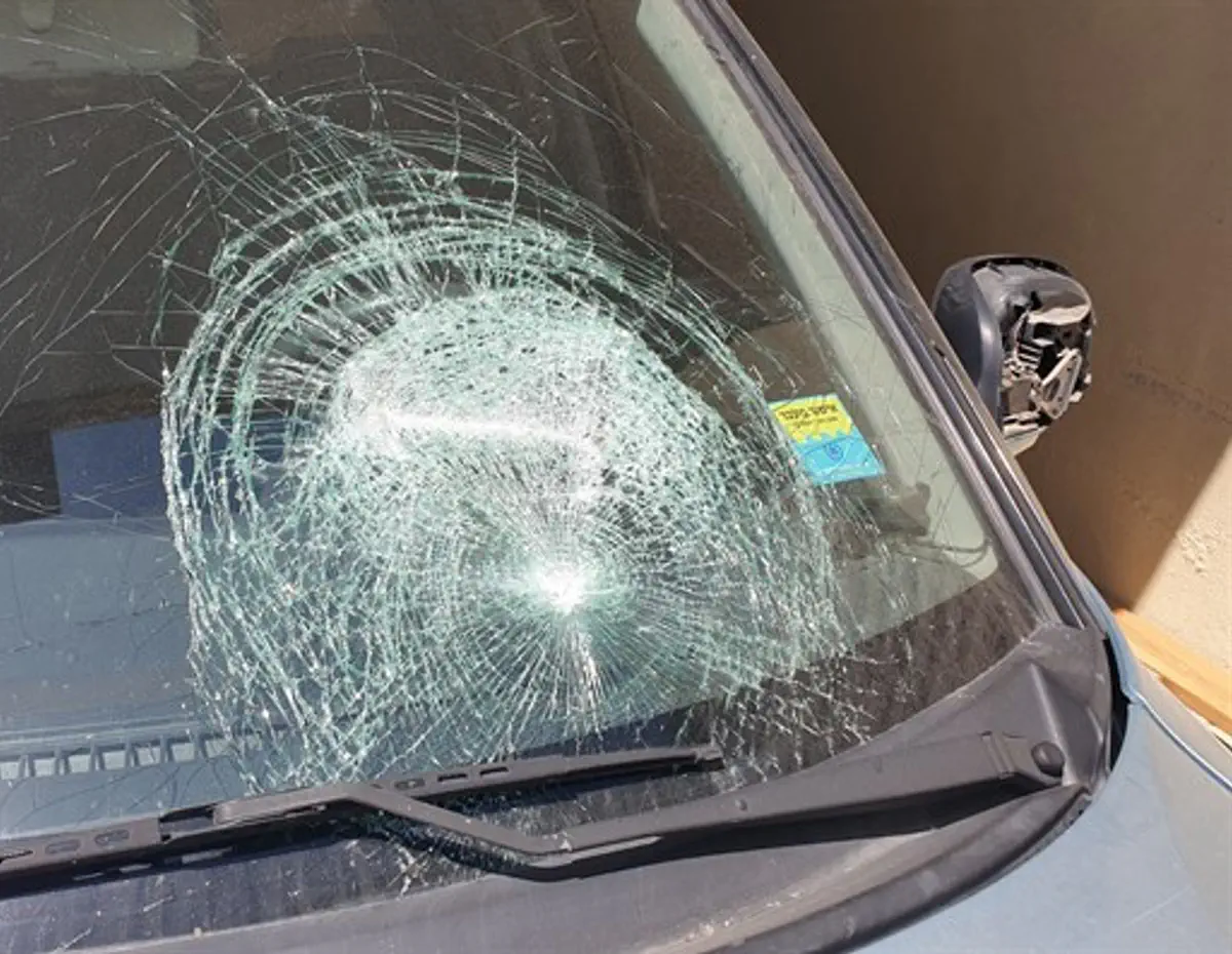 1012407.jpg?autocrop=1