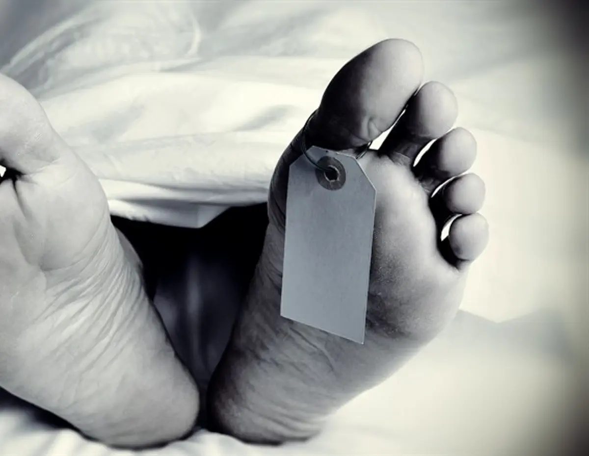 Colorado woman pleads guilty to stealing human bodies | Israel National ...