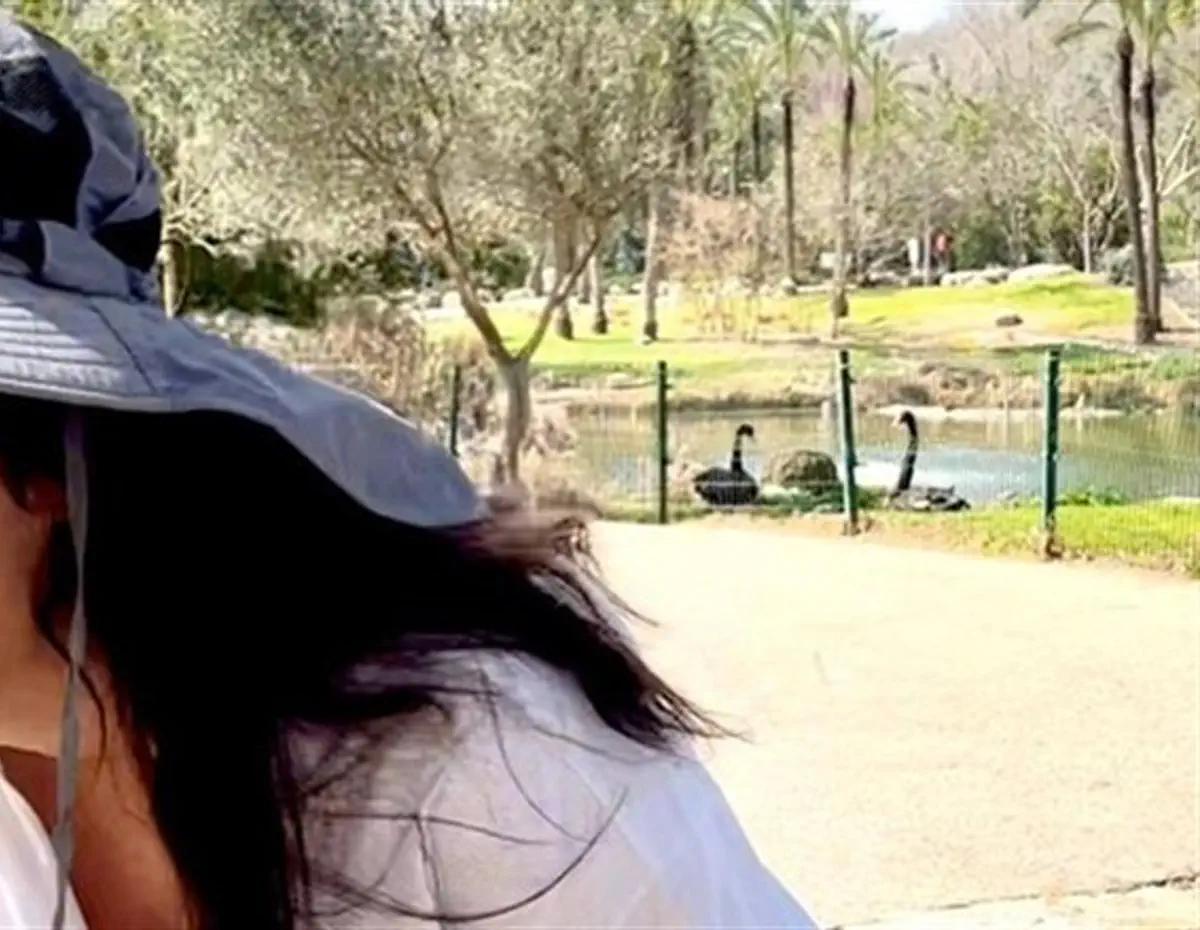 Yuval Keshet and Moshe Matan Luzon killed in Sinai accident | Israel ...