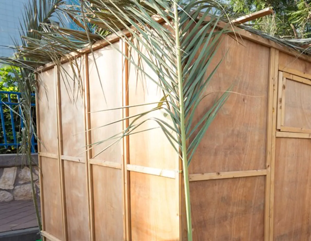 1089989.jpg?autocrop=1