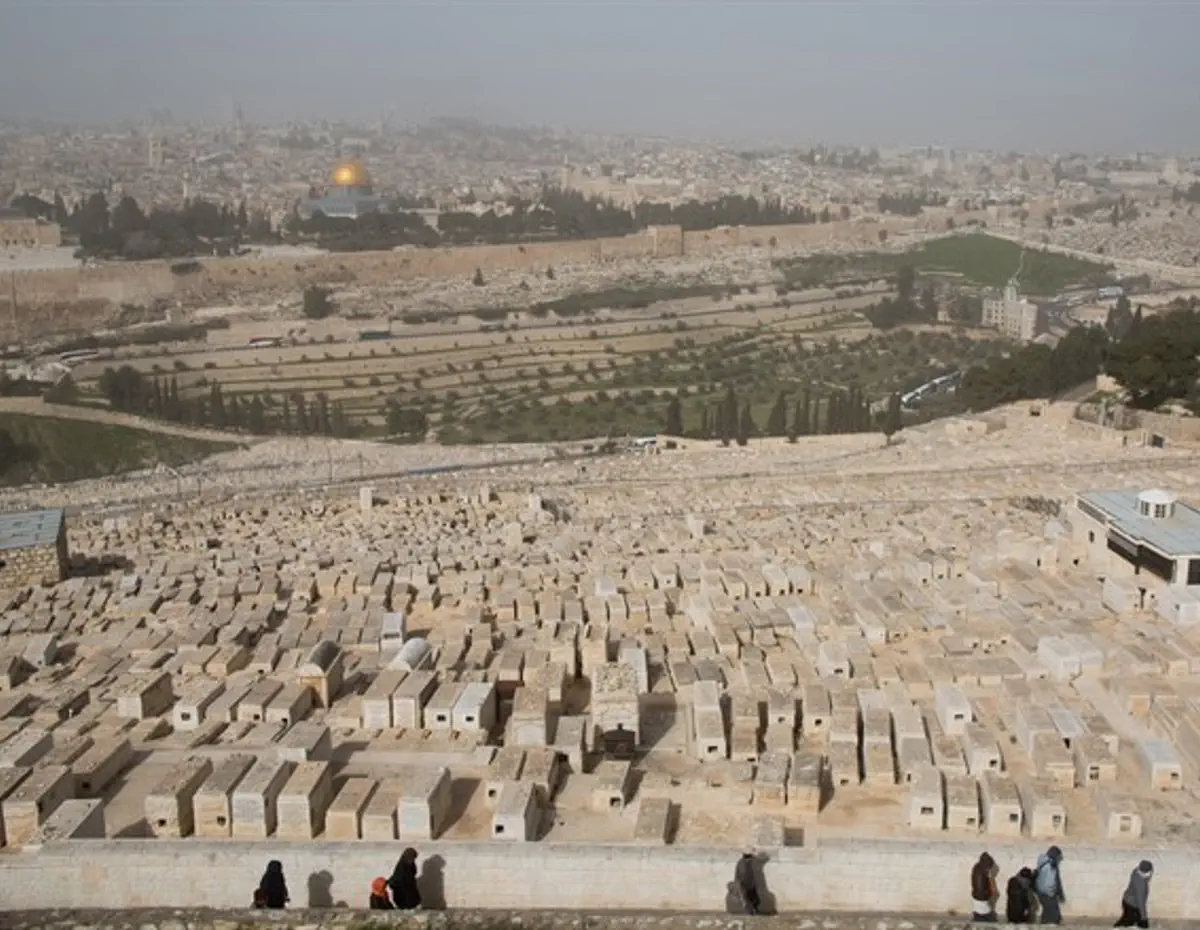 The Israel bug | Israel National News - Arutz Sheva