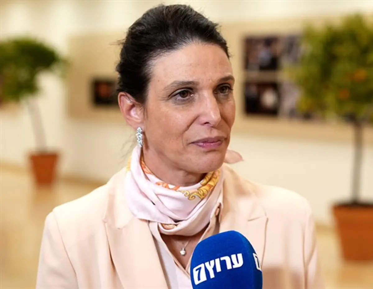 Labor MK to INN: We are preparing for a stormy day, I think the vote ...