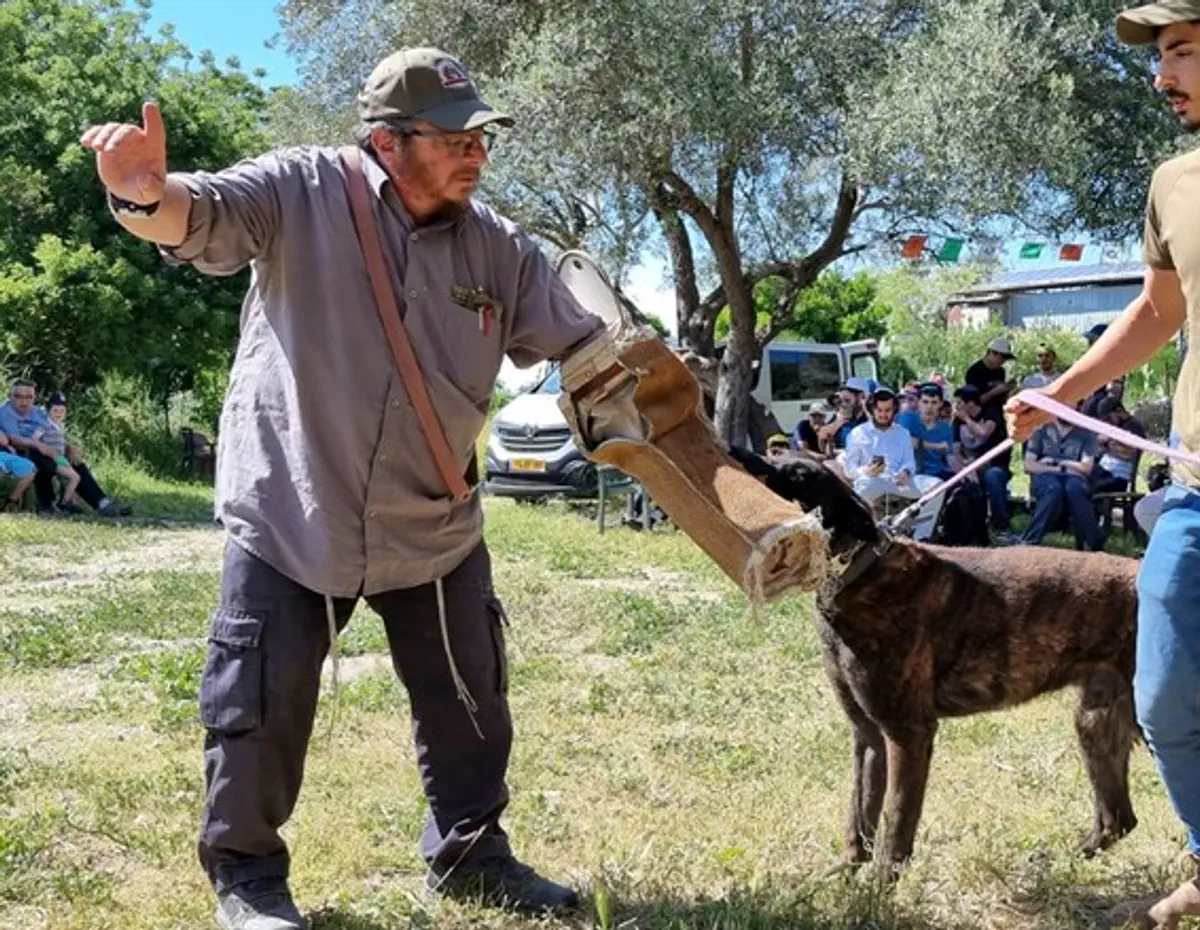 Israel Dog Unit's Independence Day exhibition | Israel National News ...
