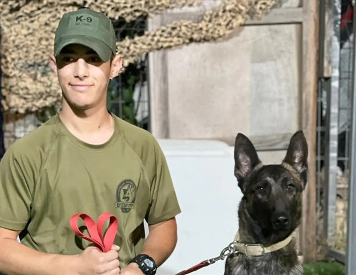 Israel Dog Unit saves a life near Sderot | Israel National News - Arutz ...