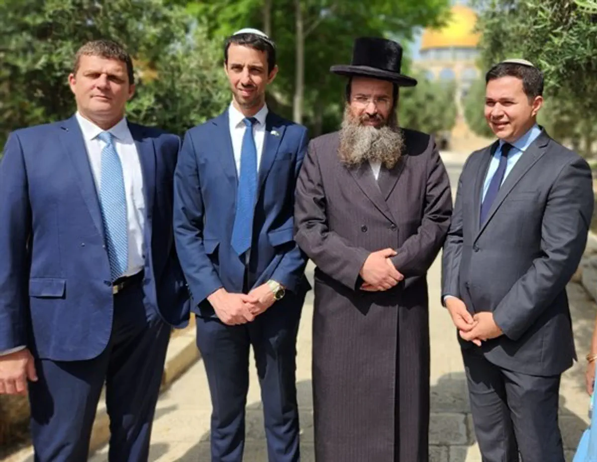 1119913.jpg?autocrop=1