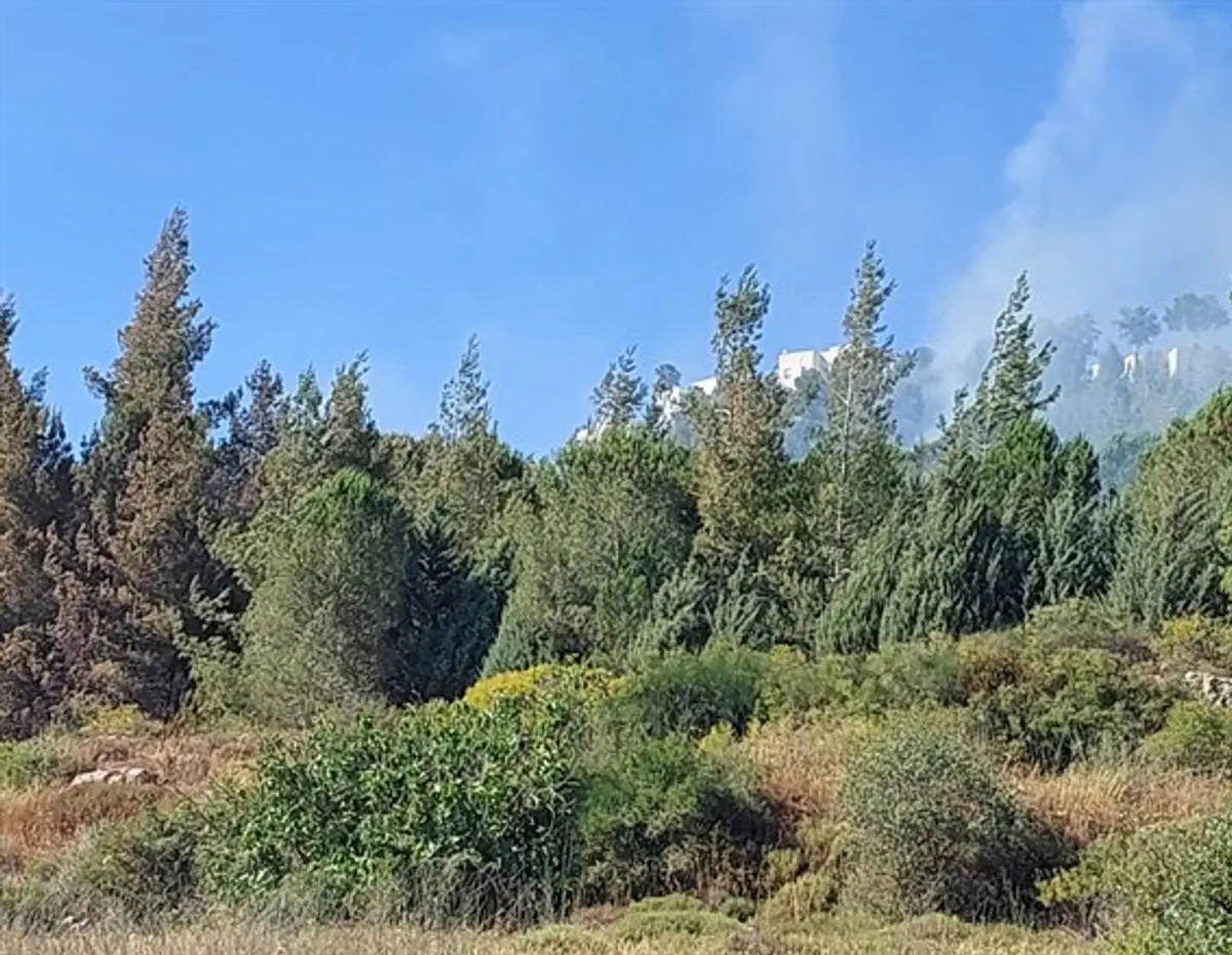 Biblical Zoo, Israel Aquarium evacuated due to forest fire | Israel ...