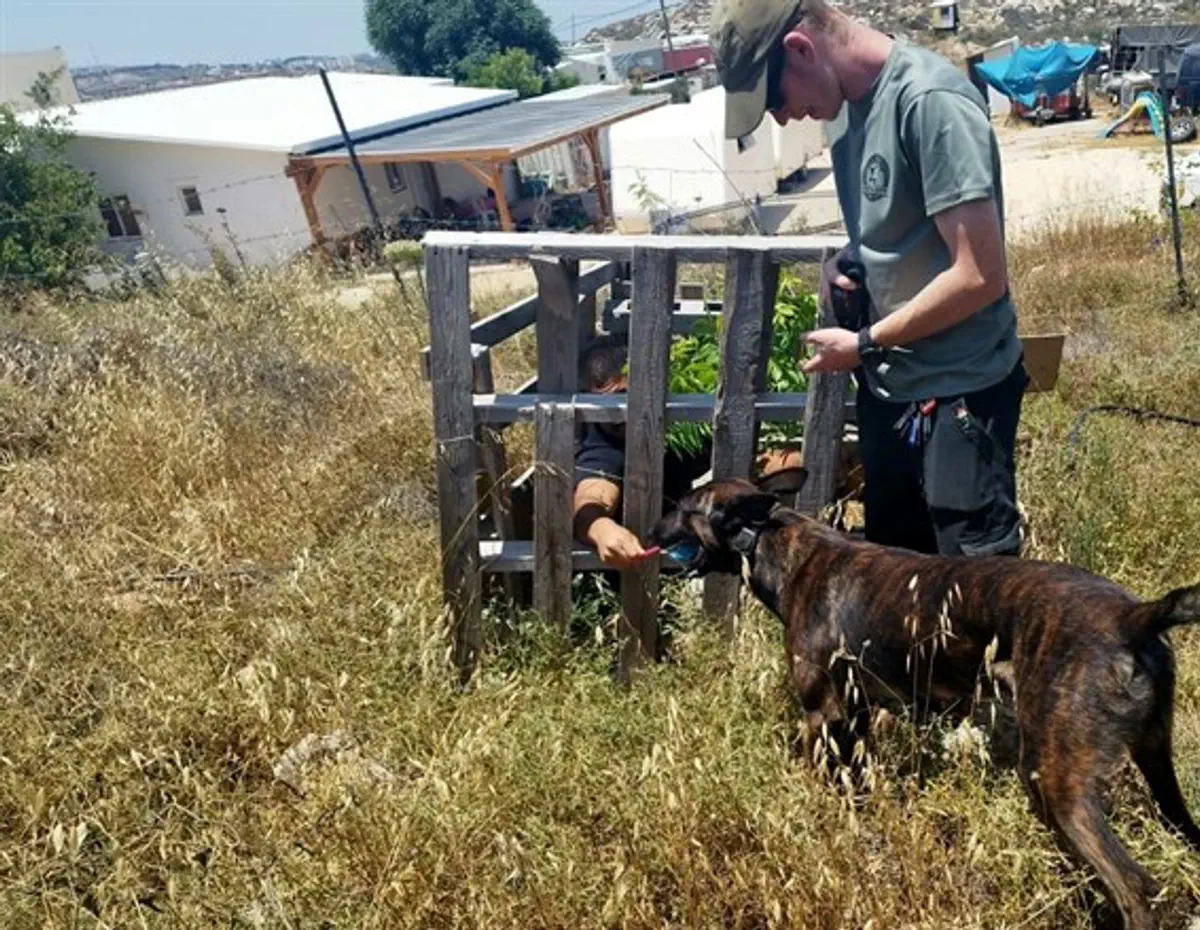 Israel Dog Unit trains canine operators from across Israel | Israel ...