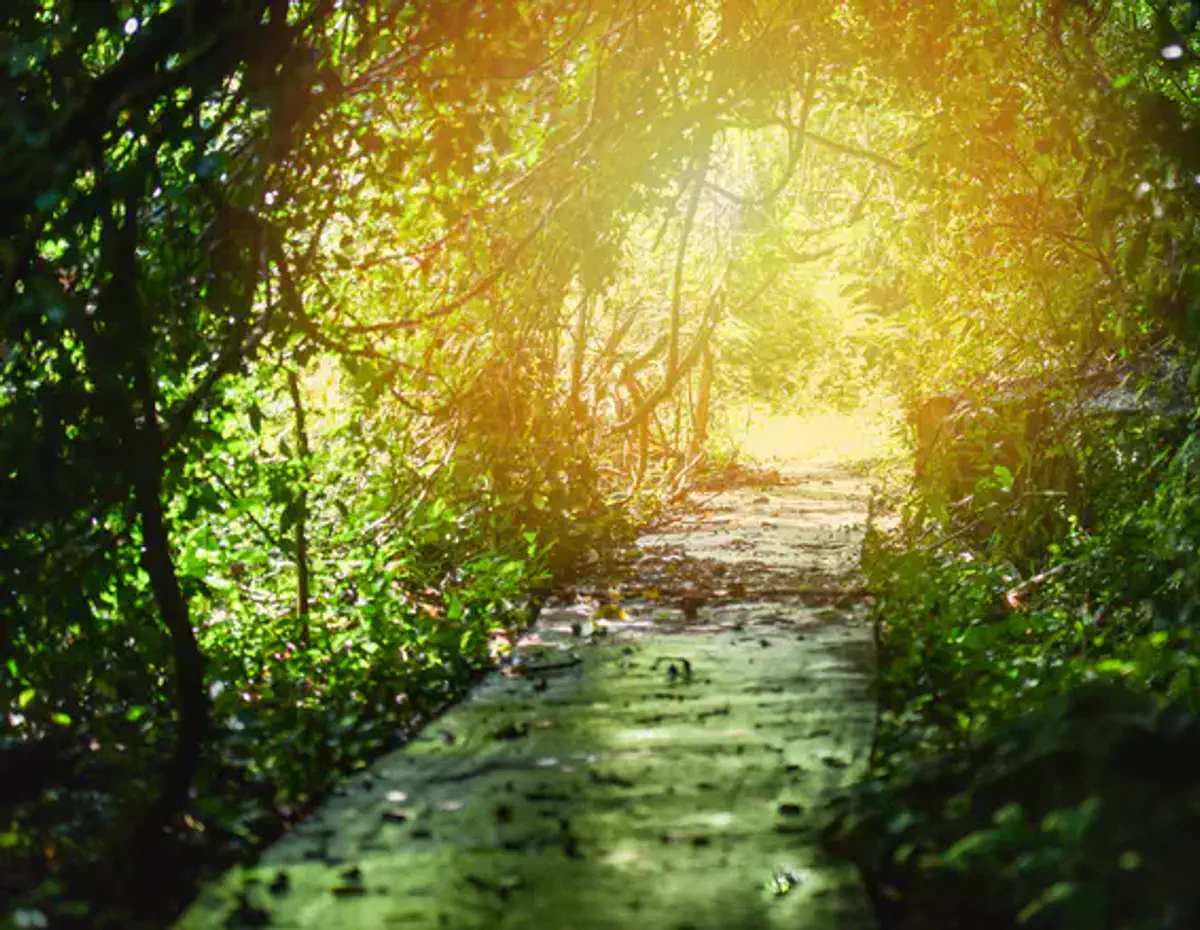 1151559.jpg?autocrop=1