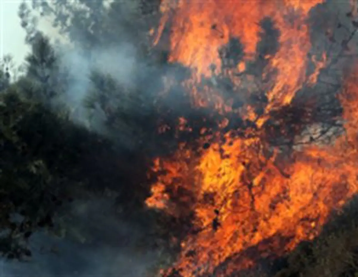 247926.jpg?autocrop=1