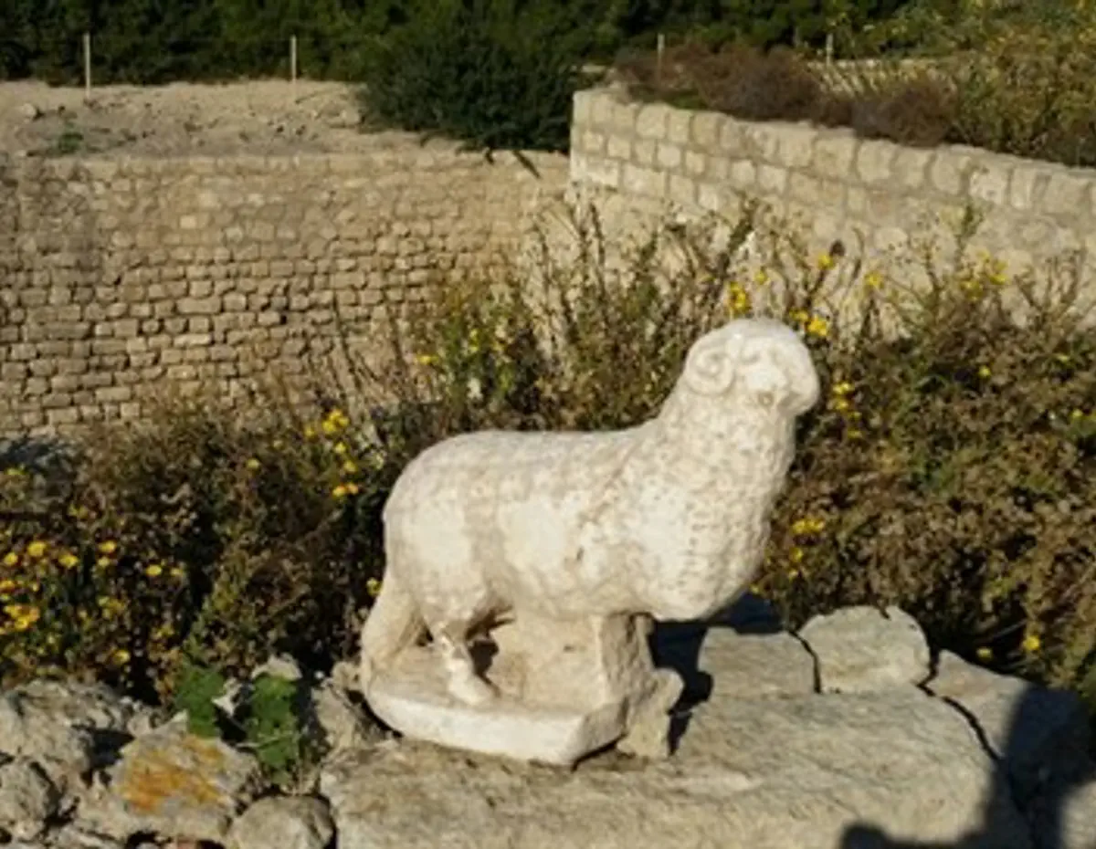 Ancient ram statue unearthed near Byzantine church | Israel National ...