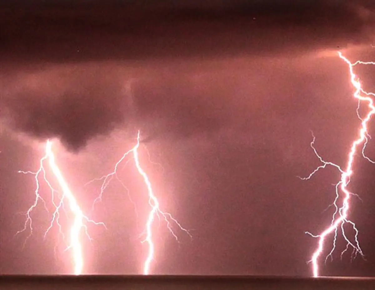 779891.jpg?autocrop=1