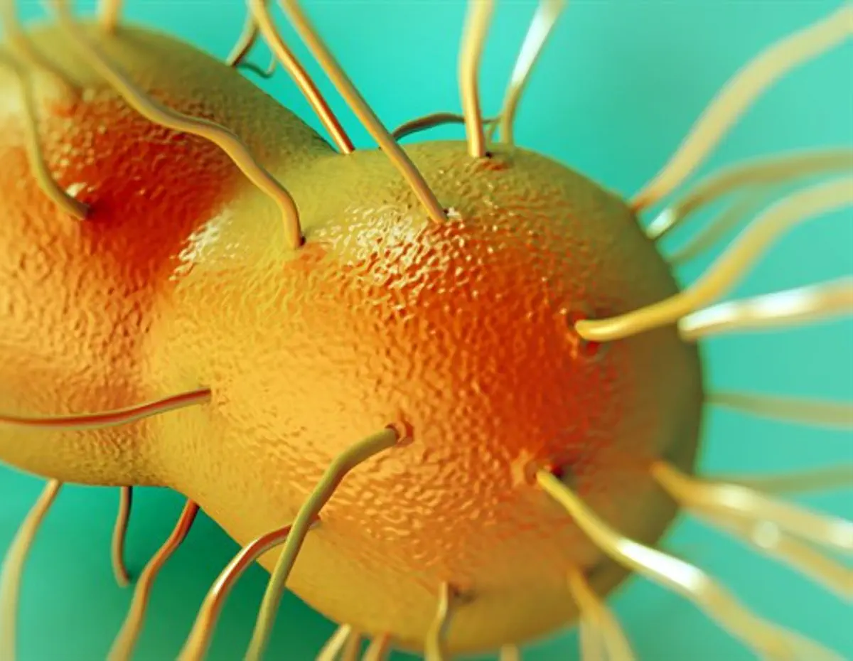 Super-STD has no cure - and it's spreading | Israel National News ...