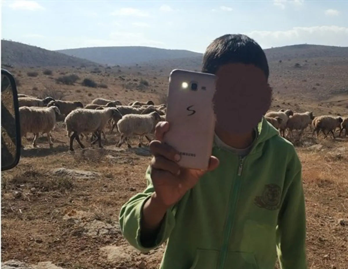 804974.jpg?autocrop=1