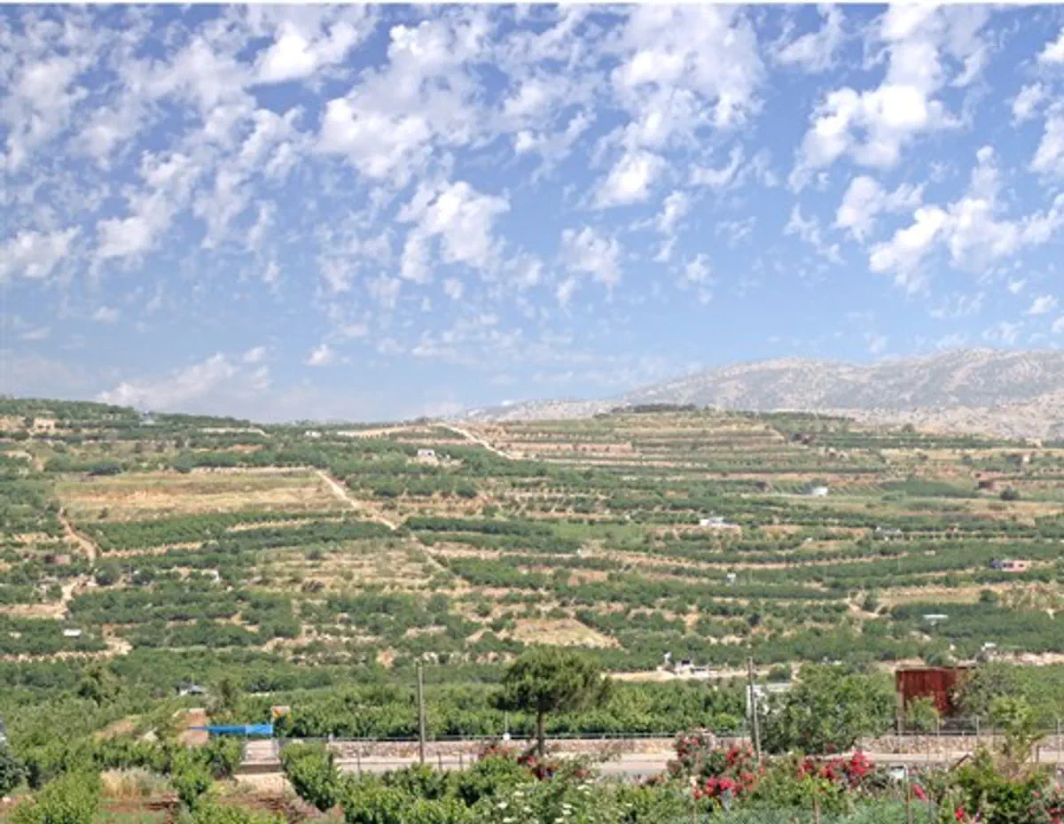 This is how they share the Israeli reality with the world | Israel ...