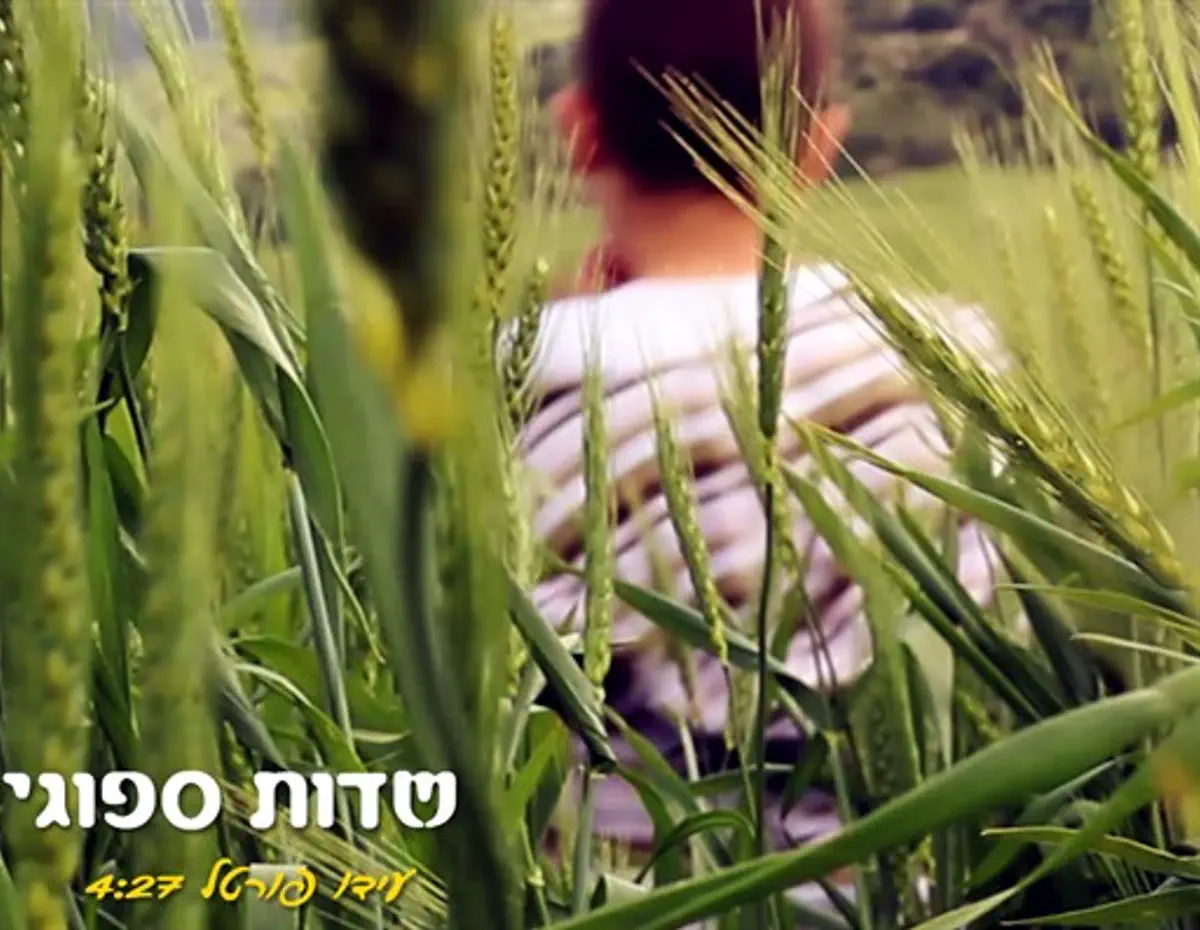 For Tu B'Av: Can we be happy and sad simultaneously? | Israel National ...