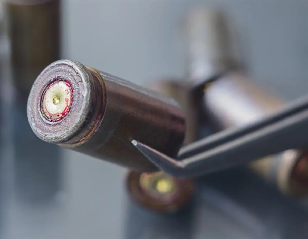 907832.jpg?autocrop=1