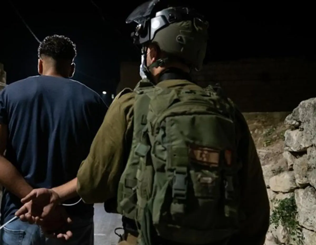 978266.jpg?autocrop=1