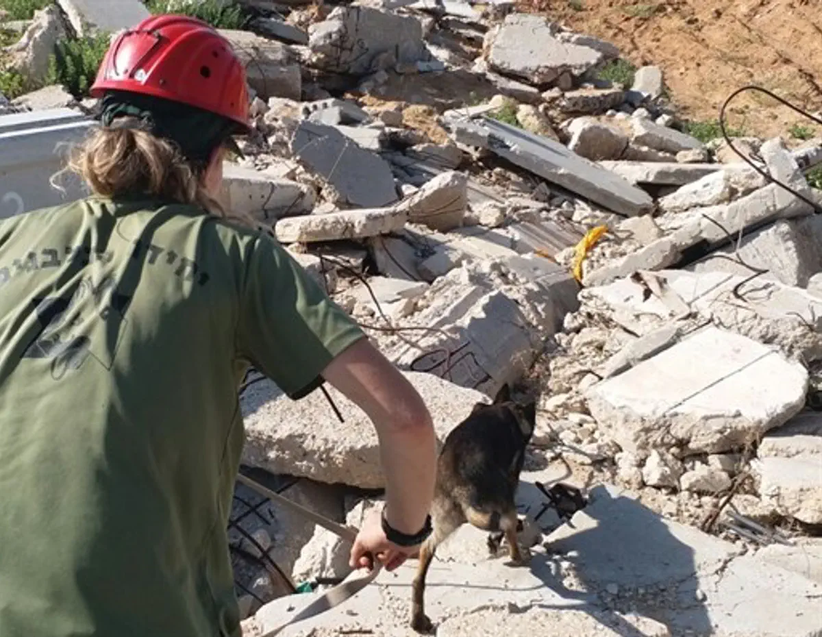 Israel Dog Unit assists IDF chasing rioters near Ramallah | Israel ...