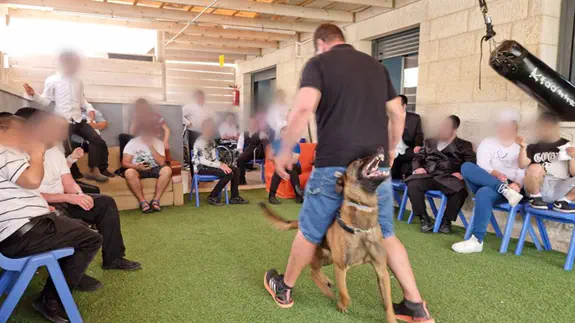 Dogs bring joy to special needs children | Israel National News - Arutz ...