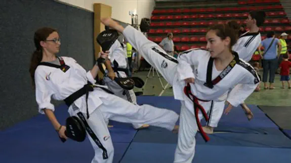 Girls learn martial arts (illustration) Gershon Elinson/Flash 90