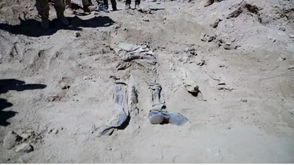 ISIS Releases Grisly Footage of Tikrit Massacre | Israel National News