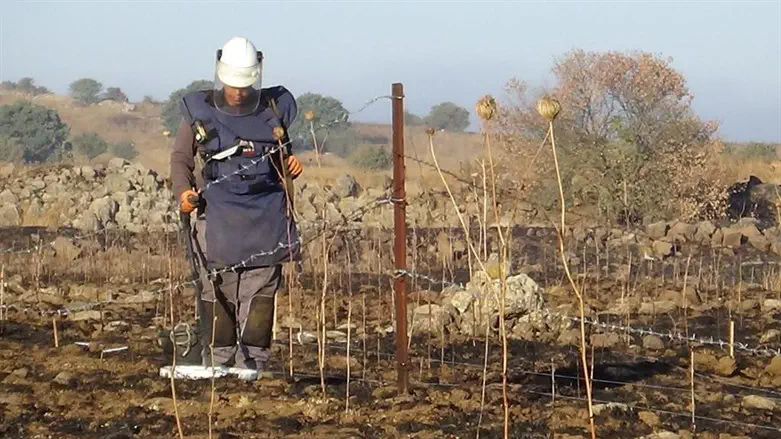 Minesweeping in the Golan Heights