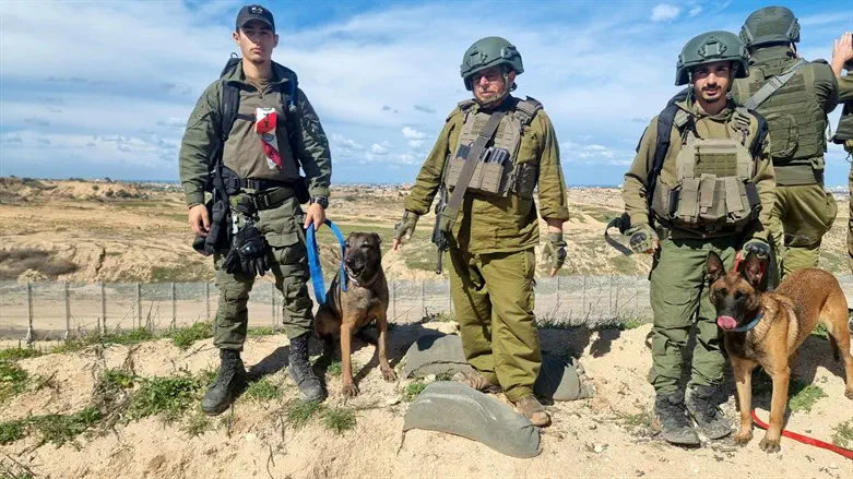 118 days later: Israel Dog Unit continues to search for Oct. 7 victims ...
