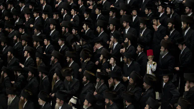 Tuvia Tenenboim's new book on the haredi community in Israel | Israel ...