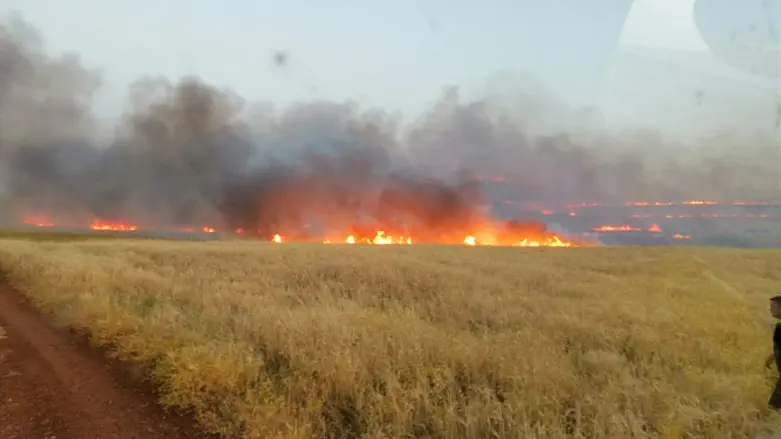 Agricultural terrorism continues to threaten Zionism in 2021 | Israel ...