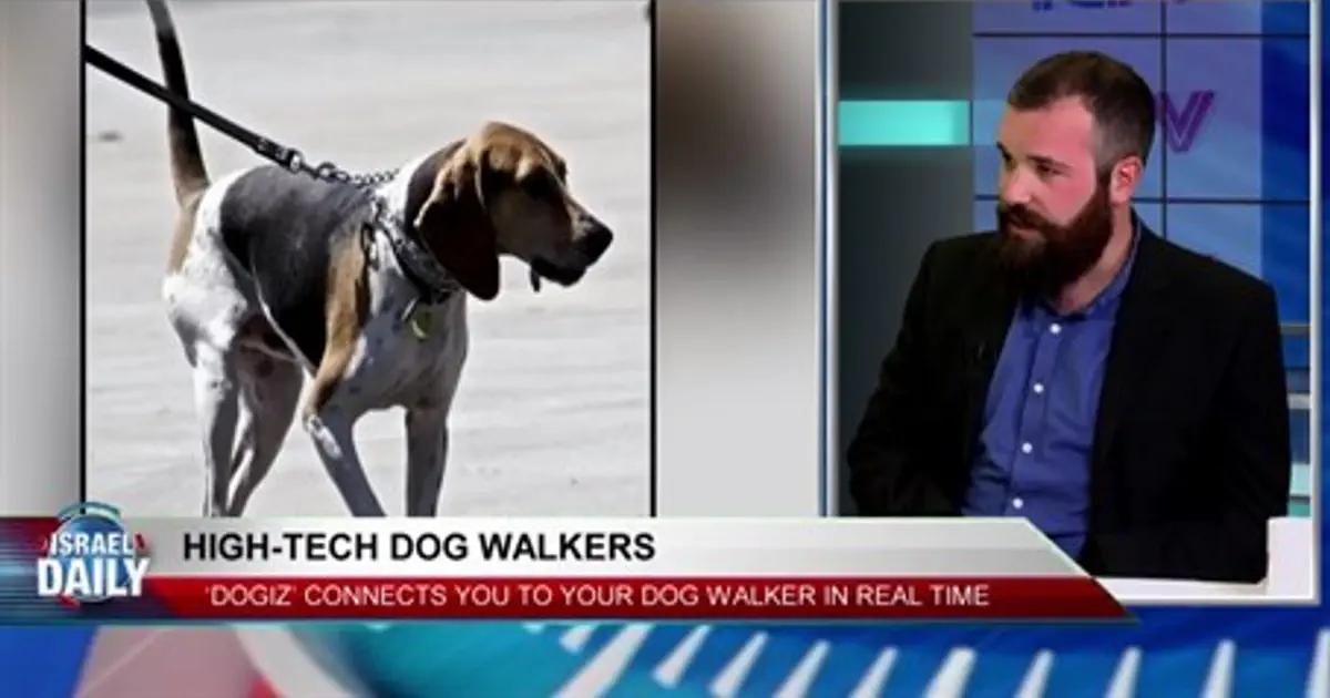 Israeli company connects you to your dog walker | Israel National News ...