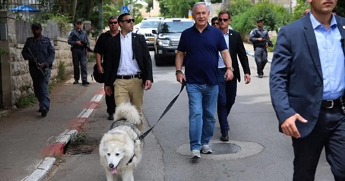 Watch: Netanyahu's dog meets the public | Israel National News - Arutz ...